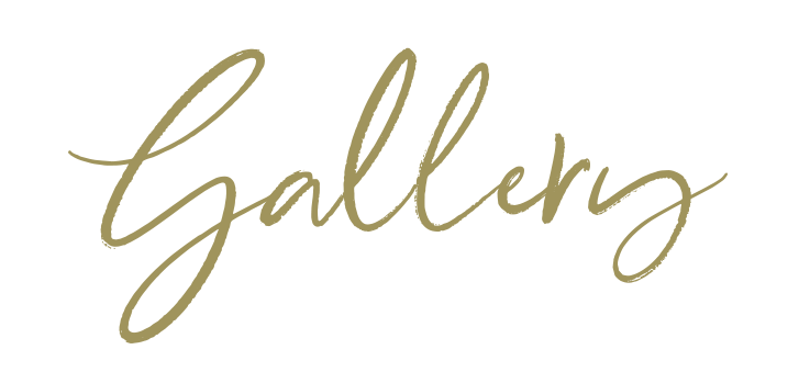 Gallery | Dara & Jonathan